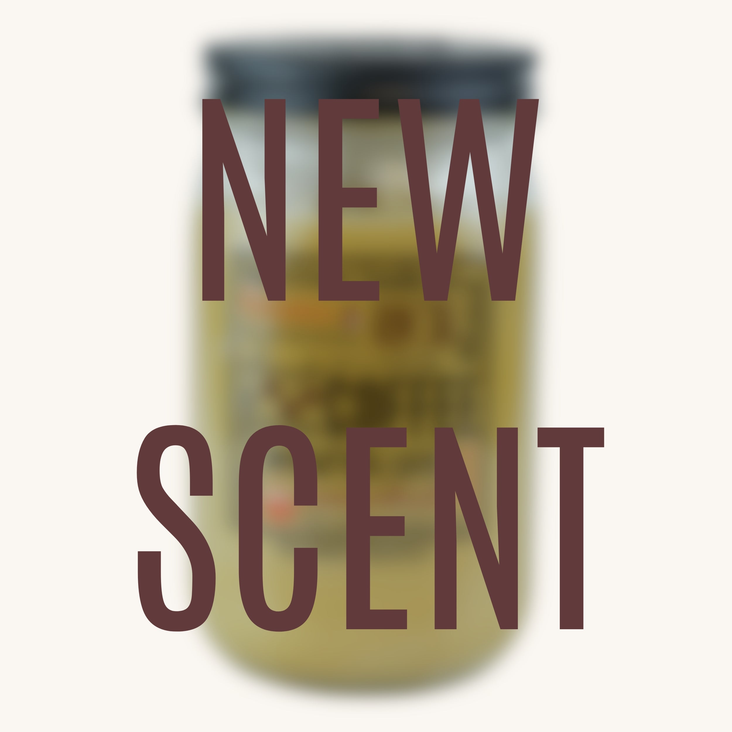 Swan Creek Candle - Charred Ginger & Apple Slices | 100% Soy Wax | 24oz ...